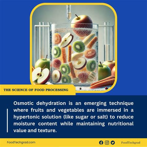 Osmotic Dehydration Is An Emerging Technique Where Fruits And