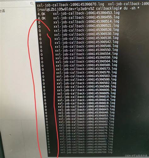 com xxl rpc util xxlrpcexception或者caused by eofexception com