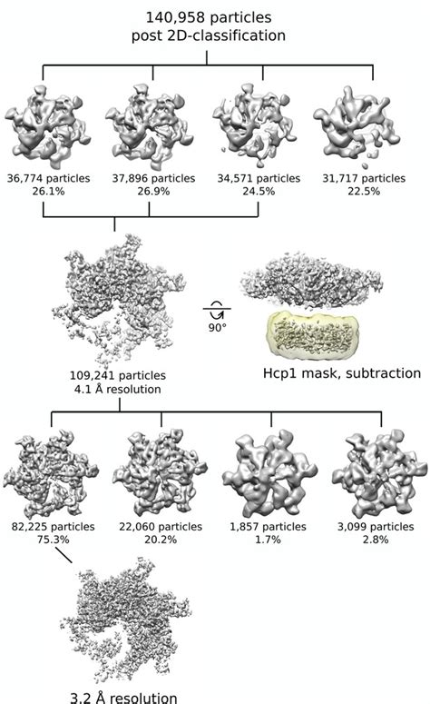 Figures And Data In The Aaa Atpase Vps4 Binds Escrt Iii Substrates Through A Repeating Array Of