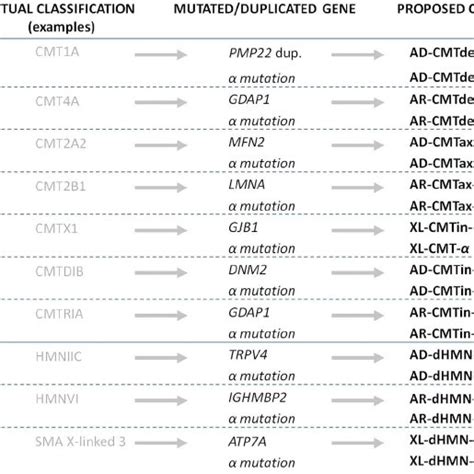 Explanations Of Our Suggestions For A Modi Fi Ed Classi Fi Cation Of