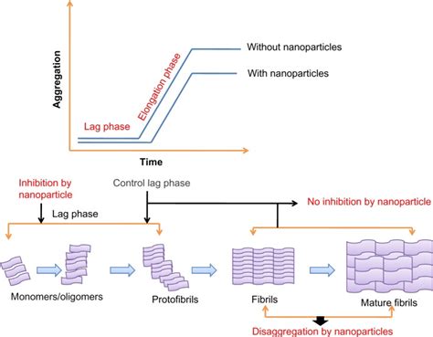 Effect Of Nanoparticles On Nucleation Kinetics Note The Addition Of Download Scientific