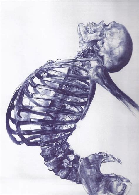 Dirtybabestylewhoree Anatomy Art Skeleton Drawings Sketches