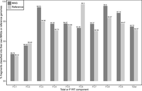 Reconstruction Validation Based On The Whole Mag Composition By Tetra