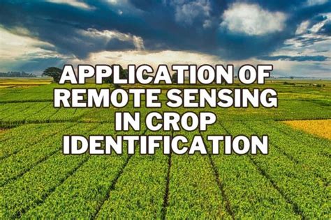 8 innovative application of remote sensing in crop identification