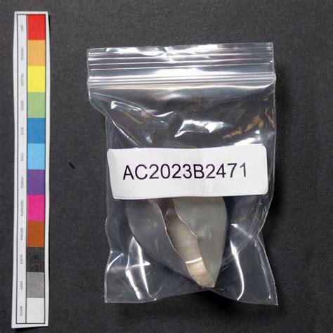 Was Ecstasydata Test Details Result 18065 Meth 18065