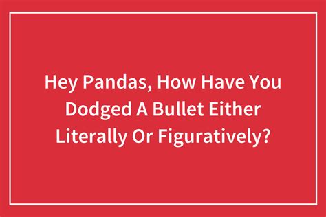 Hey Pandas, How Have You Dodged A Bullet Either Literally Or Figuratively? (Closed) | Bored Panda