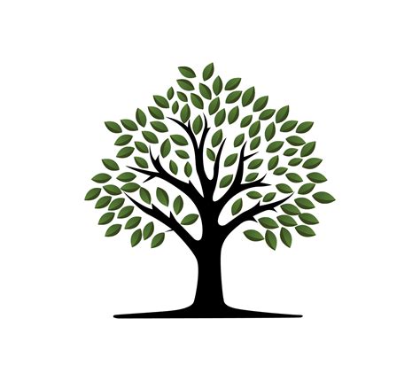 Tree With Leaves Vector Illustration 40866639 Vector Art At Vecteezy