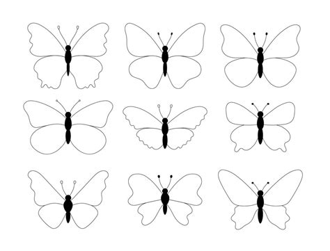 Tracable Images Butterfly Detail Explore Precision And Artistry In