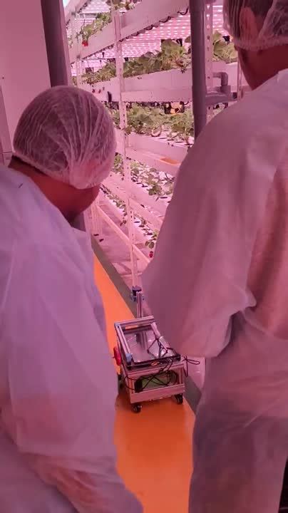 Norazmi Alias On Linkedin Amr Scuttle