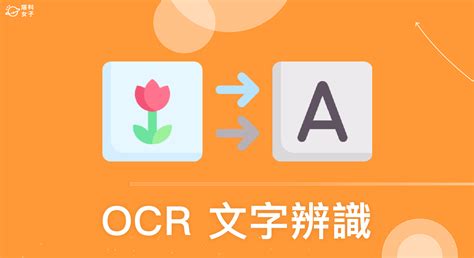 【2022】免費 6 款最好用 Ocr 文字辨識軟體將圖片轉文字 塔科女子