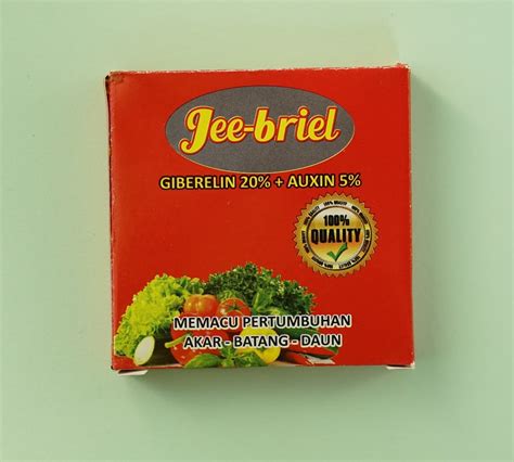 Jee Briel Tablet Tanitoon Id