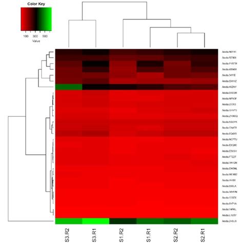 Expression Heatmap Of Dna Methylation Related Genes In S1 S2 And S3 Download Scientific Diagram