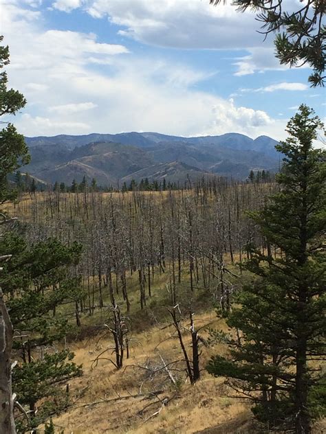 Sweet Grass County Mt Usa Sunrise Sunset Times