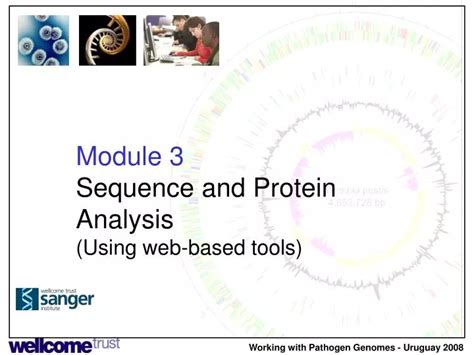 PPT Module Sequence And Protein Analysis Using Web Based Tools PowerPoint Presentation
