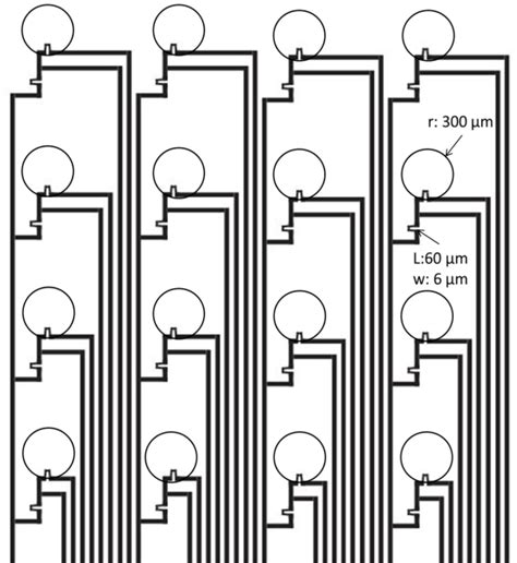 4 4 Pressure And Temperature Sensing Array Membrane Radius Is 300 Download Scientific