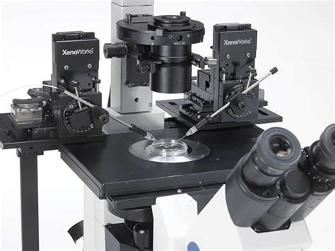Microinjection Linton Instrumentation Laboratory Instrumentation