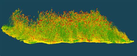 can we assess plants using 3d sensors crop insights