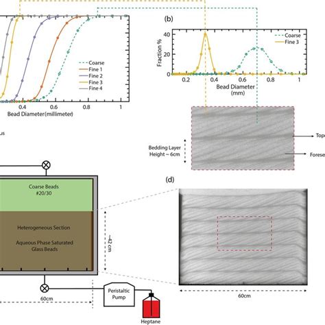 Non‐wetting Phase Saturation For The Four Experiments After A Download Scientific Diagram