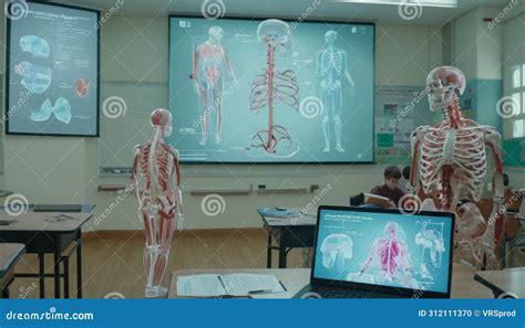 Classe Anatomia Com Modelos Digitais Ilustração Stock Ilustração De Esqueleto Faculdade