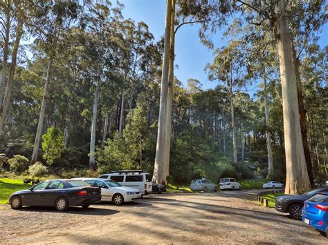 A Review Of Mortimer Camping And Picnic Area Travelling Tam