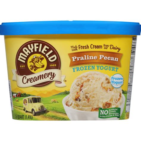 Mayfield Creamery Praline Pecan Frozen Yogurt 15 Qt