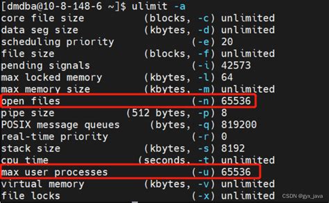 达梦数据库linux安装流程达梦数据库安装linux Csdn博客 达梦数据库linux安装流程达梦数据库安装linux Csdn博客