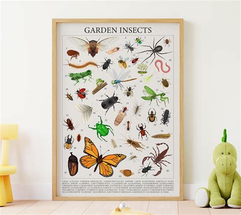 44 Fascinating Insect Bug Posters Montessori Classroom Homeschool