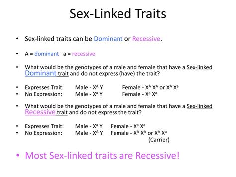 Ppt Sex Linked Traits Powerpoint Presentation Free Download Id