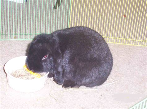 Shadows Tsukuyomi By Psychominias On Deviantart