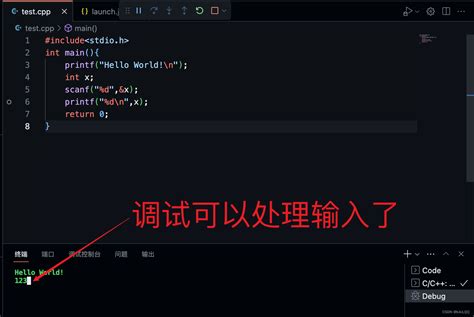 解决mac中vscode调试c 代码无法处理输入的问题 vscode终端无法输入 csdn博客