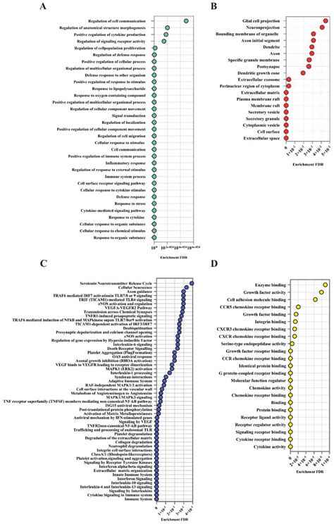 Biological Process Cellular Component Reactome Pathway And Molecular Download Scientific