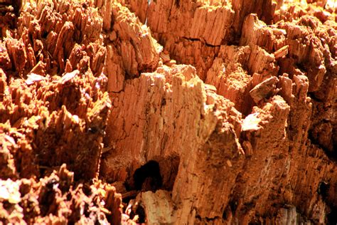 Oc The Ancient Red Canyons Of Sequioa Rminiworlds