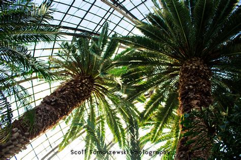 Scott Tomaszewski Flickr