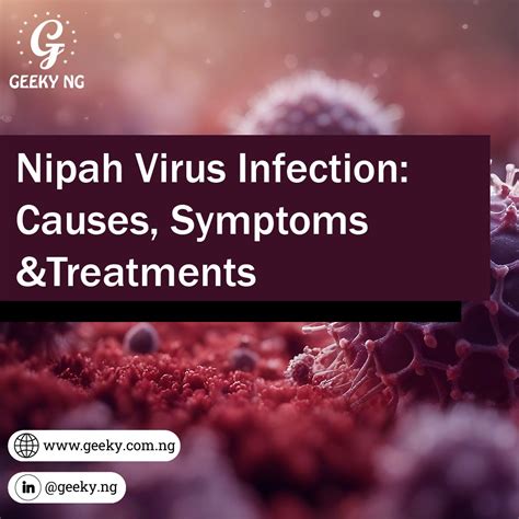Nipah Virus Infection Causes Symptoms And Treatments Geeky Nigeria