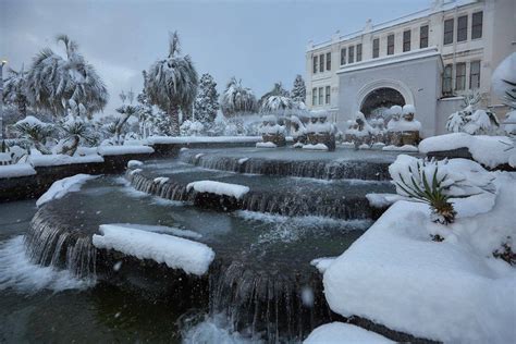 გვახსოვდეს აფხაზეთი სურათები აფხაზეთიდან