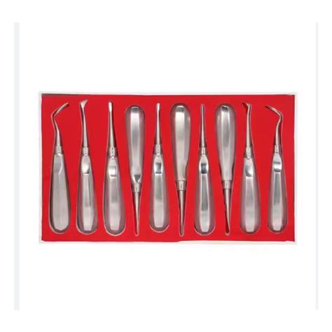 10pcs Orthodontics Root Elevator Wali Dental Supply