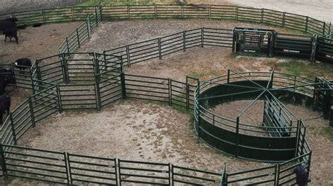 5 Simple Steps To Designing Beef Cattle Corrals Agdaily