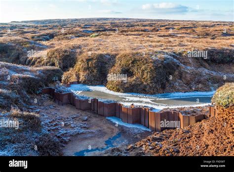 Restoring Moorland Gully Blocking With A Plastic Dam Seen Here In Winter With Ice Kinder