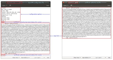 OpenVPN Client On Linux Teltonika Networks Wiki