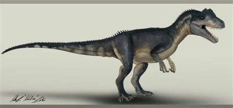 Allosaurus Adult Jurassic World Jurassic World Dinosaurs Jurassic