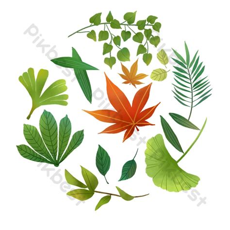 Vẽ Tay Những Chiếc Lá Trong Một Vòng Tròn Png Trong Suốt Công cụ đồ họa PSD Tải xuống miễn phí