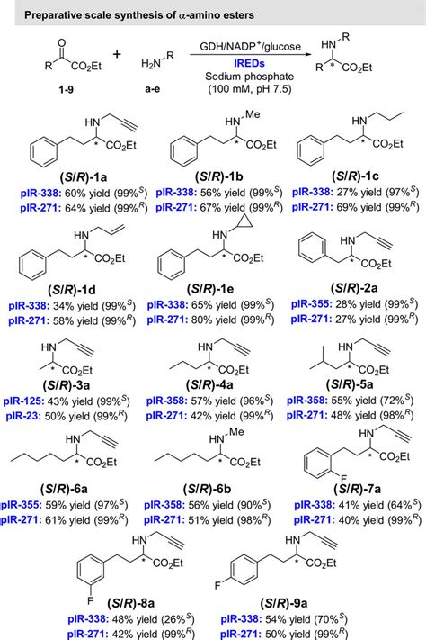 Preparative Scale Reductive Aminations Of A Ketoesters With Different