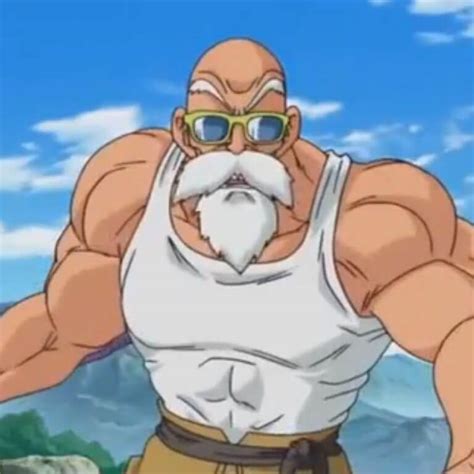 Master Roshi Fight Profile Dragon Ball Guru