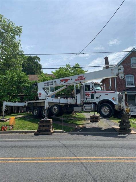 Photo Gallery Tandt Tree Service