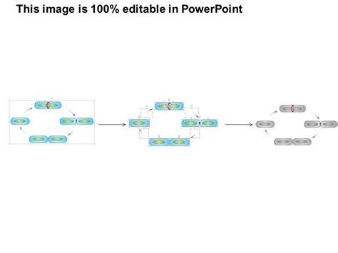 Binary Fission Medical Images For PowerPoint PowerPoint Slides Diagrams Themes For PPT