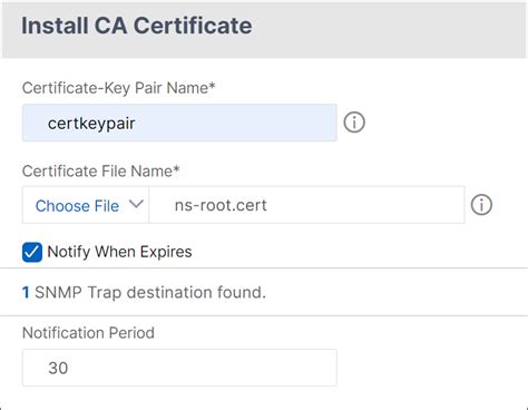 Client Certificate Authentication Authentication Authorization And Auditing Application Traffic