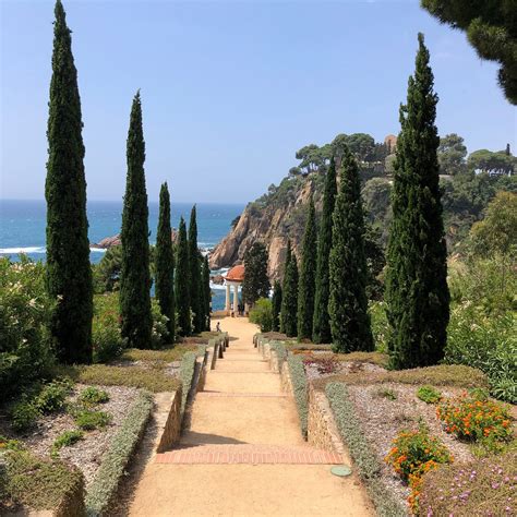 JardÍ BotÀnic Marimurtra Actualizado 2026 Qué Saber Antes De Ir