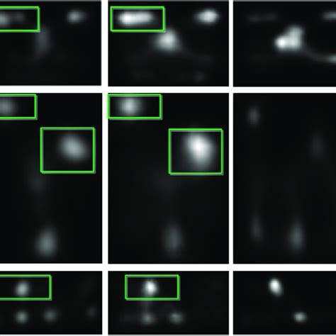 Visualization Results Of Saliency Maps Based On Intensity Features Download Scientific Diagram