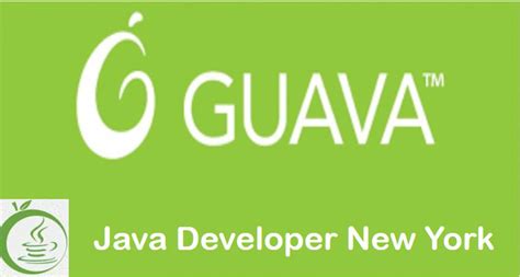 If Its Not Guava Then What Is Making Java Developers New York Busy Java Development Updates