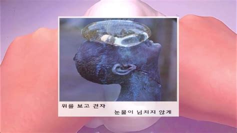 오랜만에 보는 웃긴짤 대규모시리즈 대귬실 대규모 대규모시액 시리즈액괴 웃긴썰 모음 웃긴짤 모음 짤 시리즈 썰 시리즈 액괴짤 액괴썰 몽글님영상 히트 시액 소규모 소규모